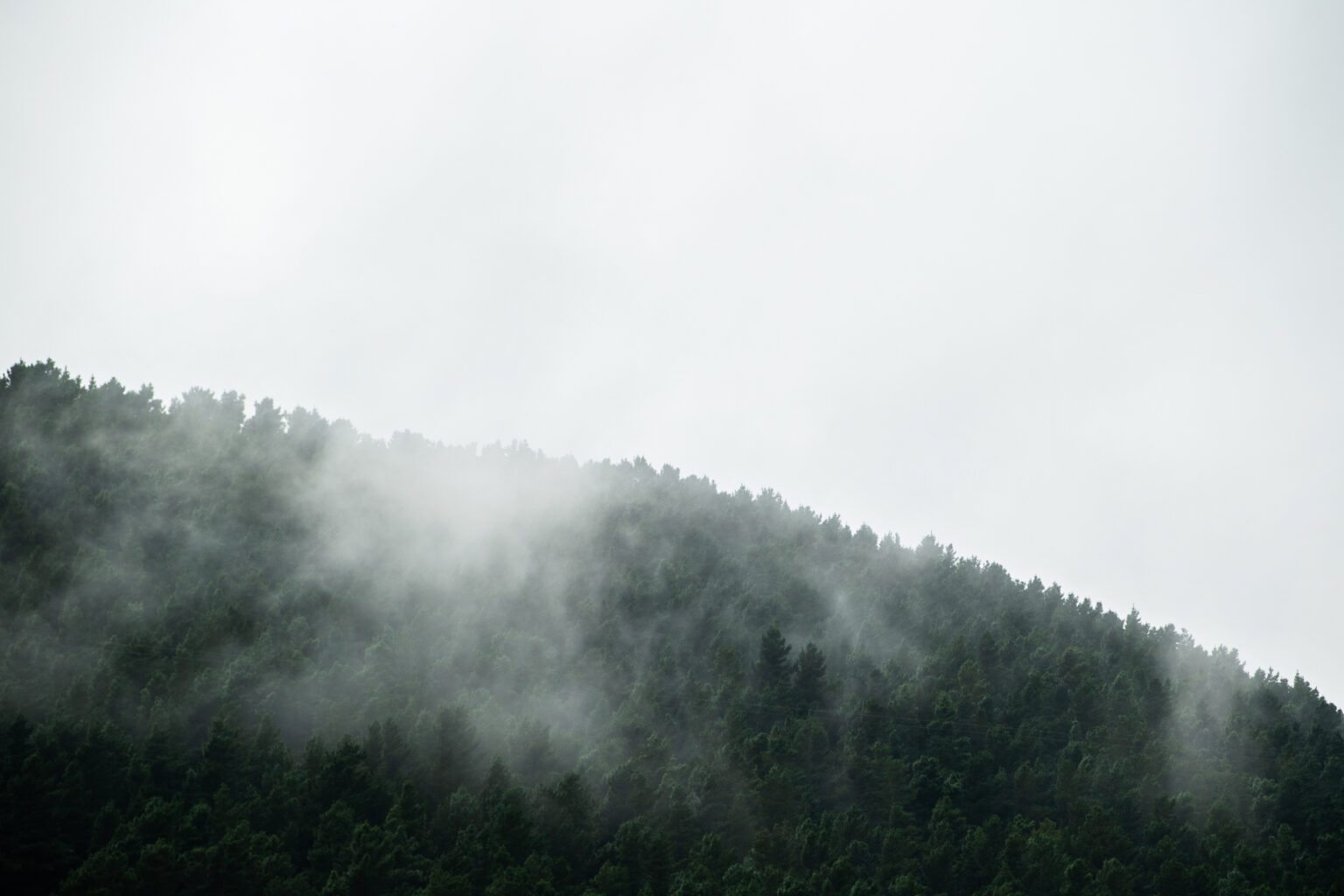 Djaara Tours & Experiences – Cultural Experiences